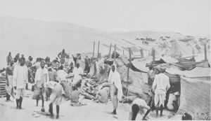 The Senussi Campaign - Away from the Western Front